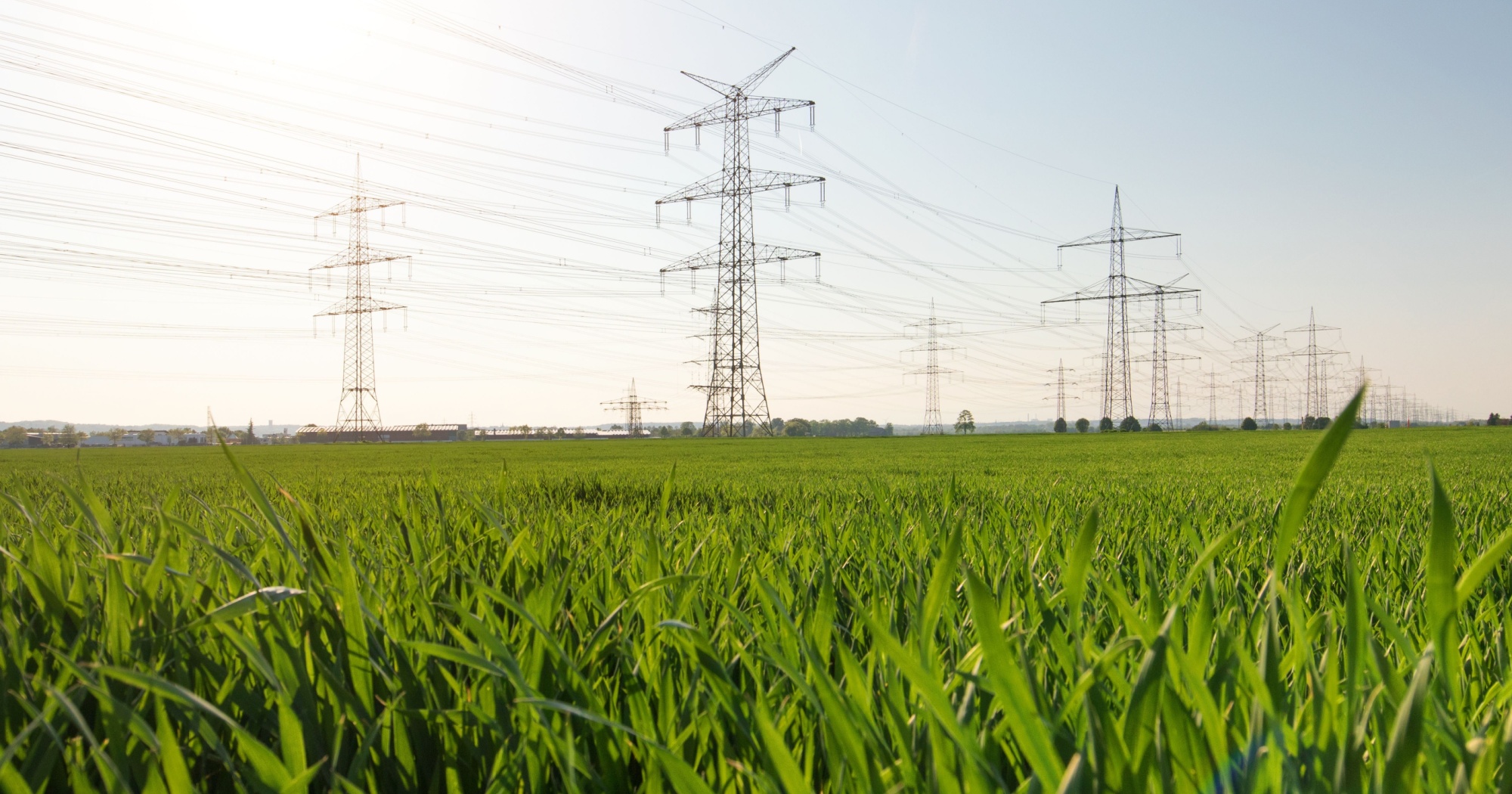 Navigating Transmission Line Routing in Texas | Braun & Gresham